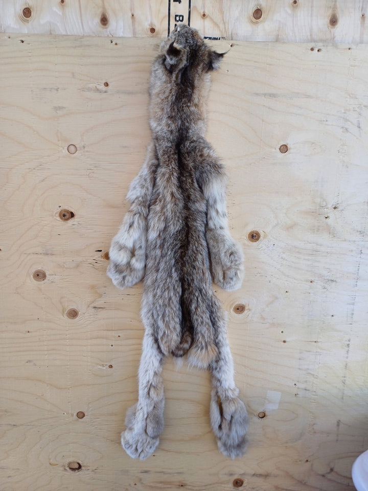 Skins – SkullsandSkinsForSale